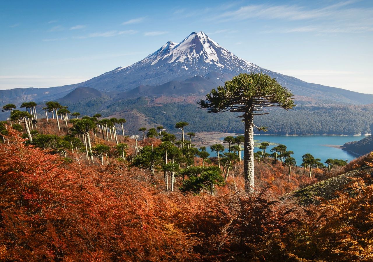 Los 7 lugares más bonitos para fotografiar el otoño en Chile