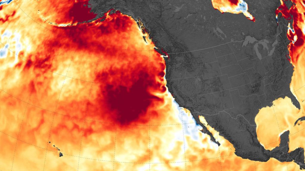 Los Científicos Identifican Olas De Calor En El Fondo Del Océano