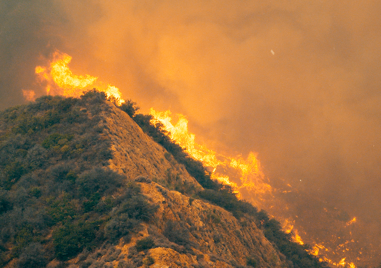 Les experts confirment : 2025 est l'année où les incendies ont ravagé ...
