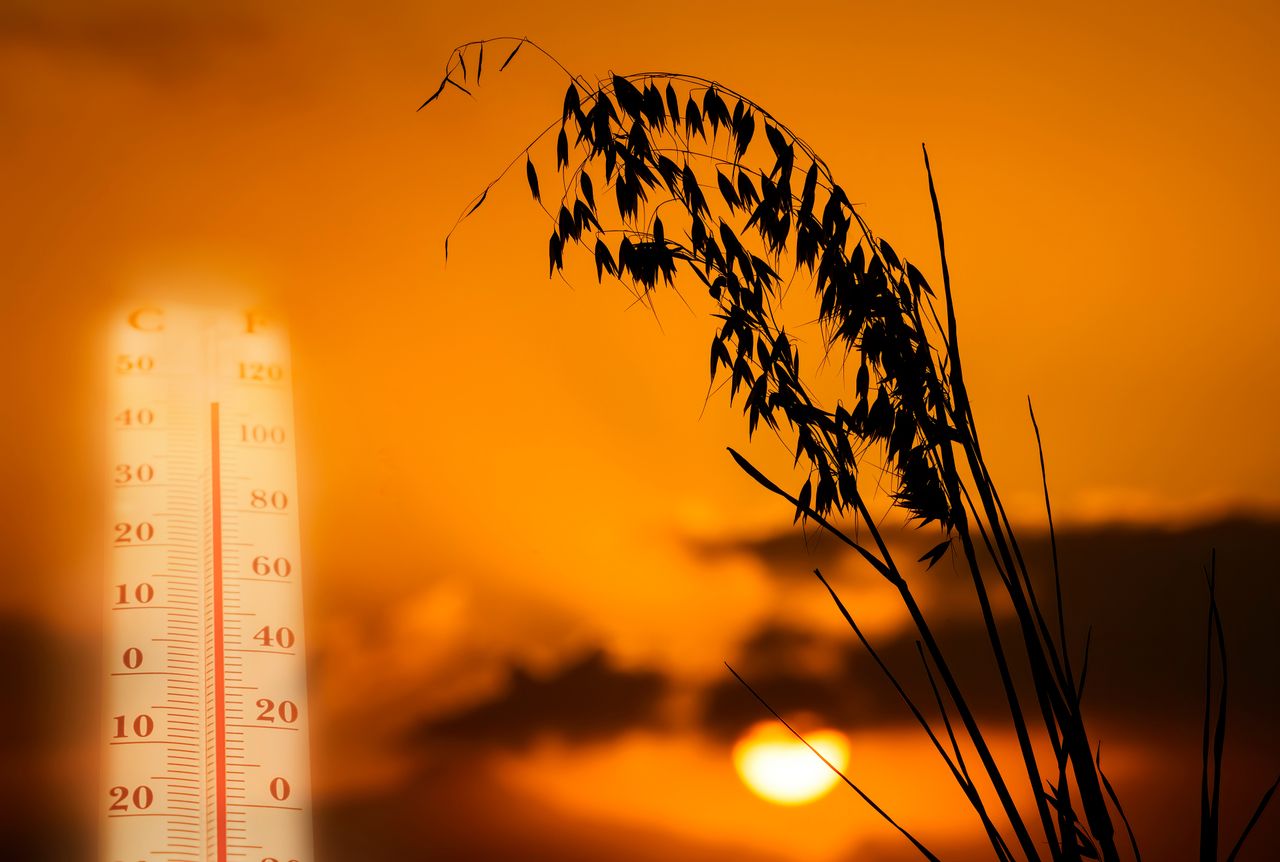 Extreme weather events will be more frequent and severe in 2025 ...