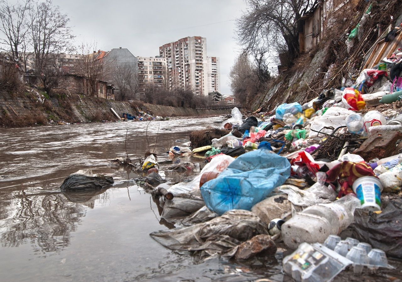 Los ríos: un elemento vital para los seres vivos y ecosistemas en el mundo