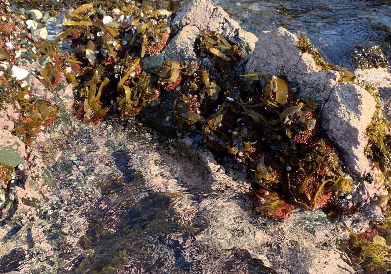 Luces que inquietan: cómo la iluminación nocturna altera la vida del ...