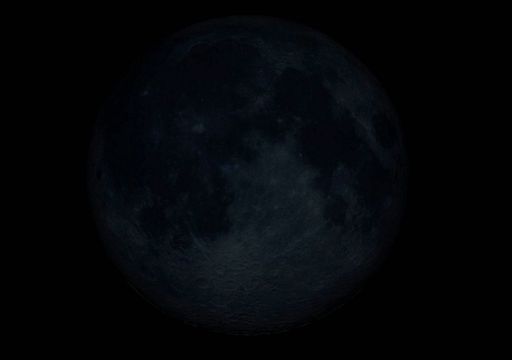 ¿Dónde se encuentra el árbol más raro del mundo?