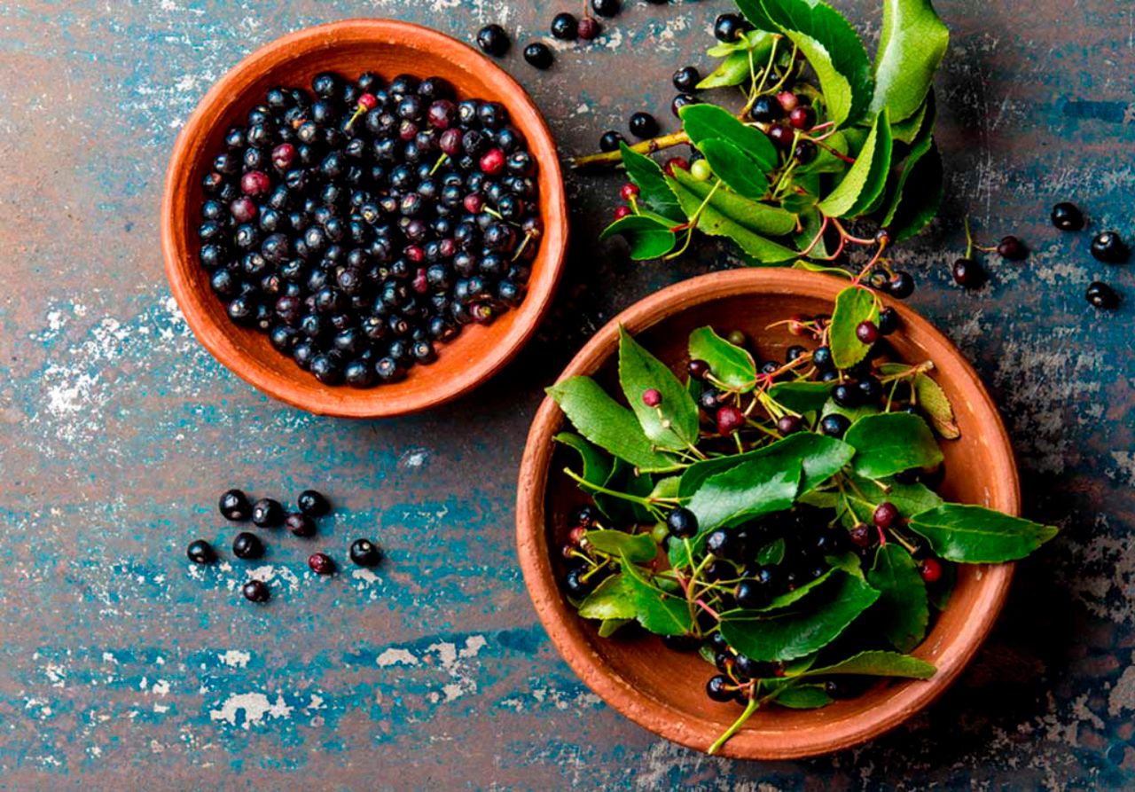 Maqui: el superalimento chileno con poder antioxidante y propiedades ...