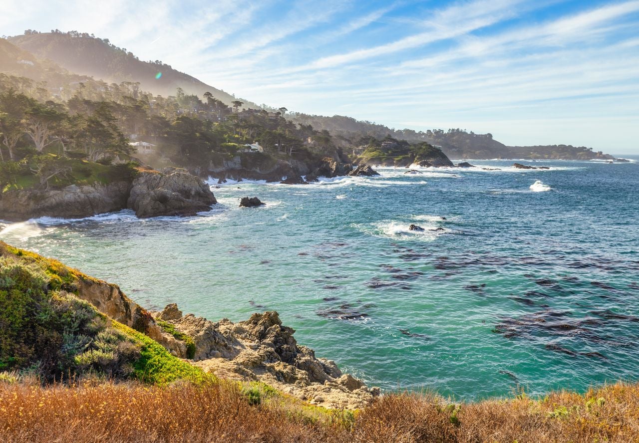 Marine Heat Waves and Conservation Zones: How California’s Kelp Forests ...