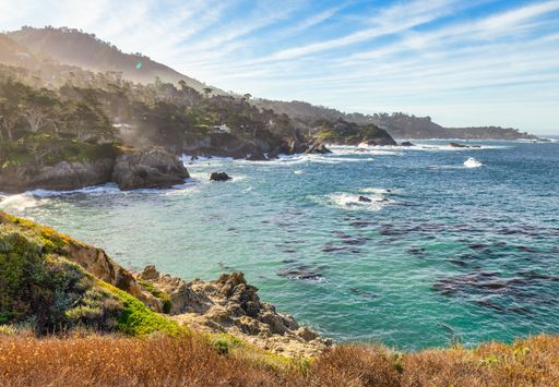 Why Don't Lightning Strikes in the Sea Kill the Fish?