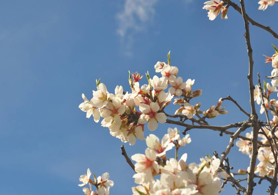 Marzo, quando inizia la primavera? Marzo, quando inizia la primavera?