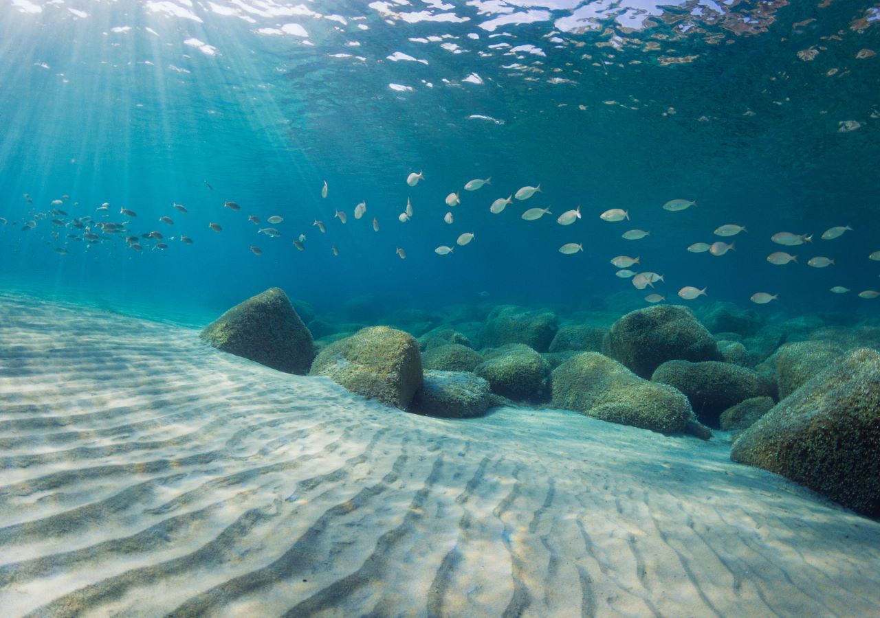 Months long Marine Heatwave In Mediterranean Sea Still Ongoing