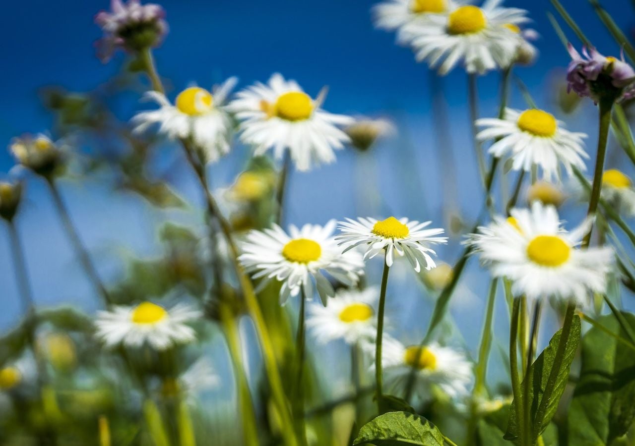 April 2026 weather forecast revealed after Storm Dave brings snow, wind ...