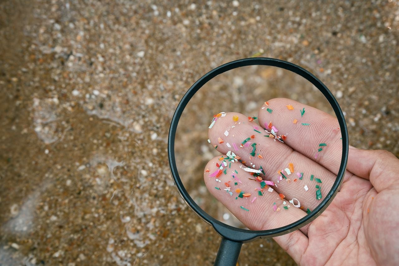 Microplastics spread harmful bacteria from sewage works to beaches ...