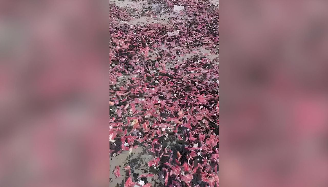 Thousands of pink sea cucumbers cover beaches in Thailand: the video of ...