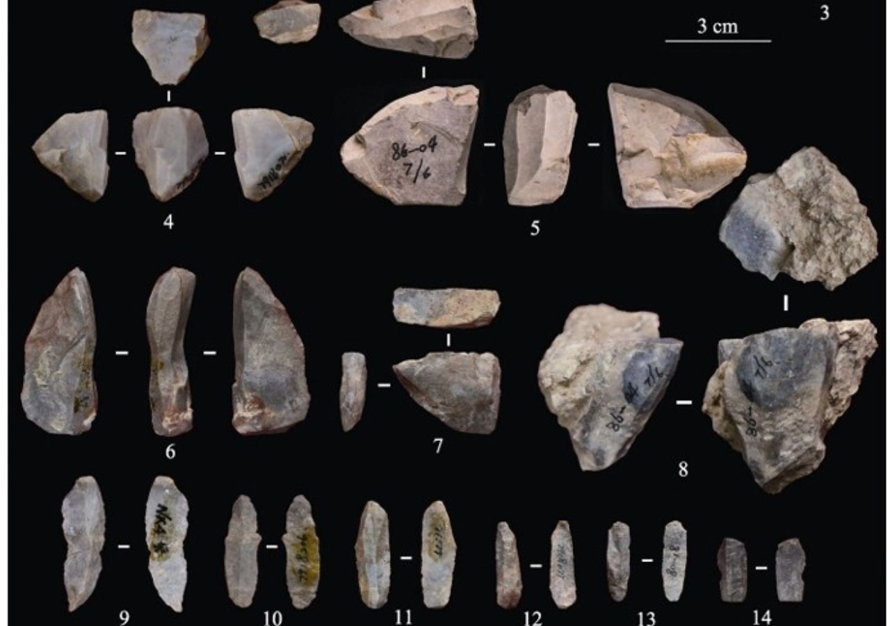 Miniature stone tools tell big stories on human resilience to climate ...