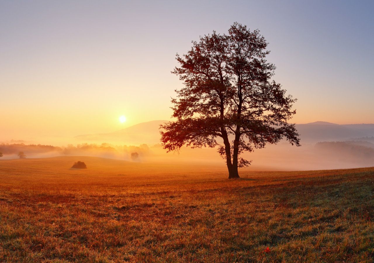 November weather: Mist and glowing sunrises for the weekend