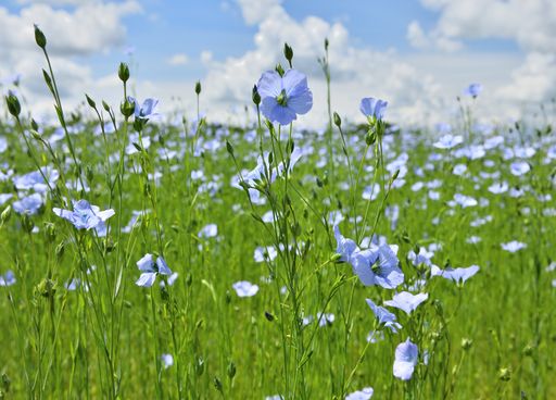 Qu'est-ce que l'AGI ? Comprendre comment elle pourrait constituer la ...