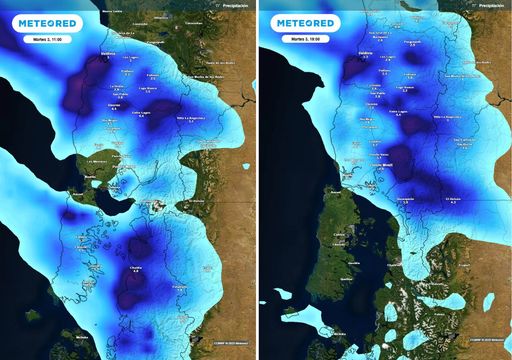 Piure, el marisco que gana espacio en las cocinas de Chile