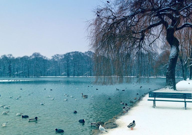 Weather St Albans. 14 day Forecast - yourweather.co.uk | Meteored