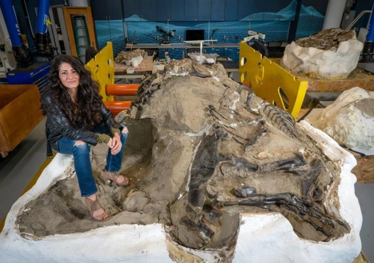 Nanotyrannus rewriting history - research confirms it was not just a ...
