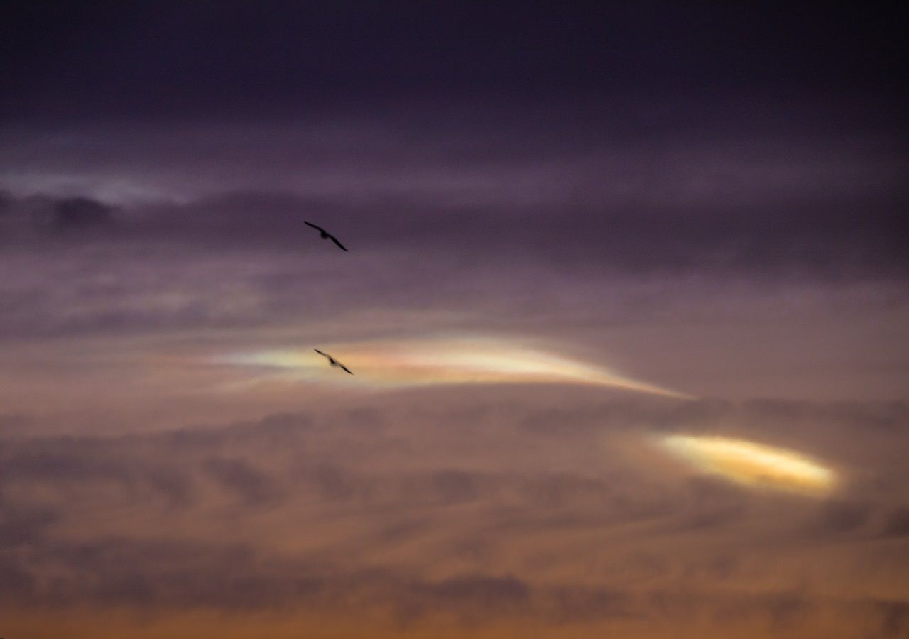 Inusuales nubes nacaradas se dejaron ver en la Patagonia