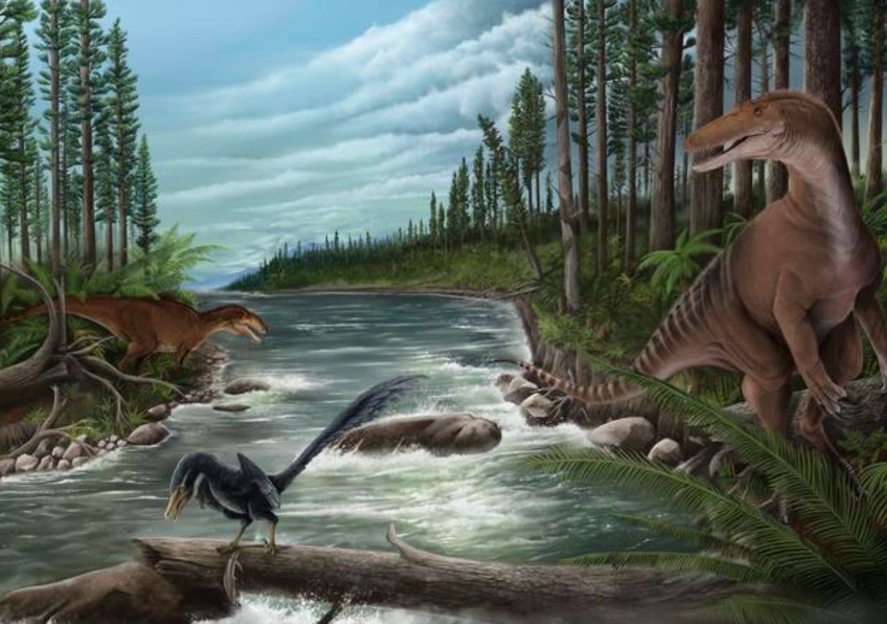 New dinosaur fossils discovered in Australia are the world’s oldest known megaraptorid