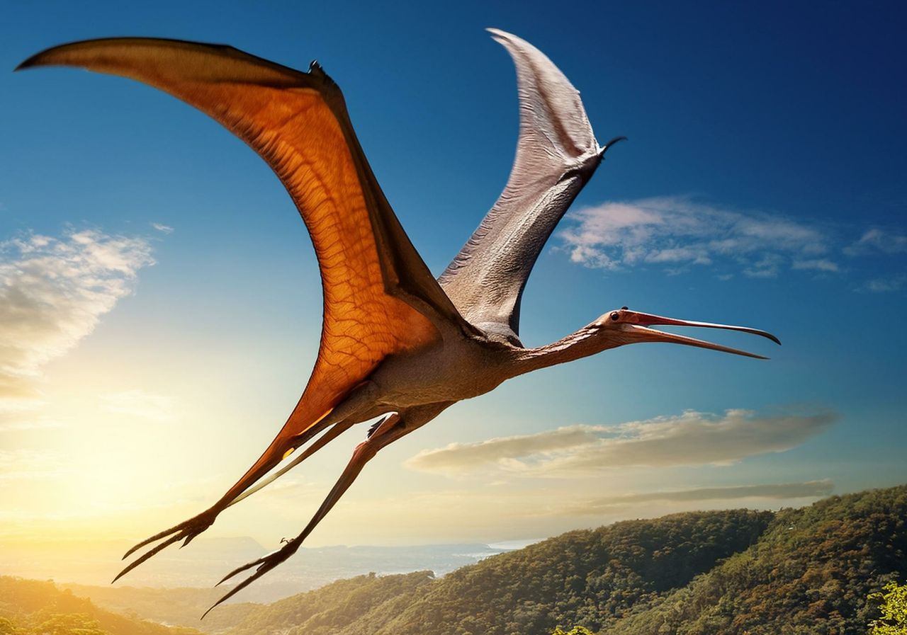 New fossil discovery uncovers crucial evolutionary stage in flying reptiles