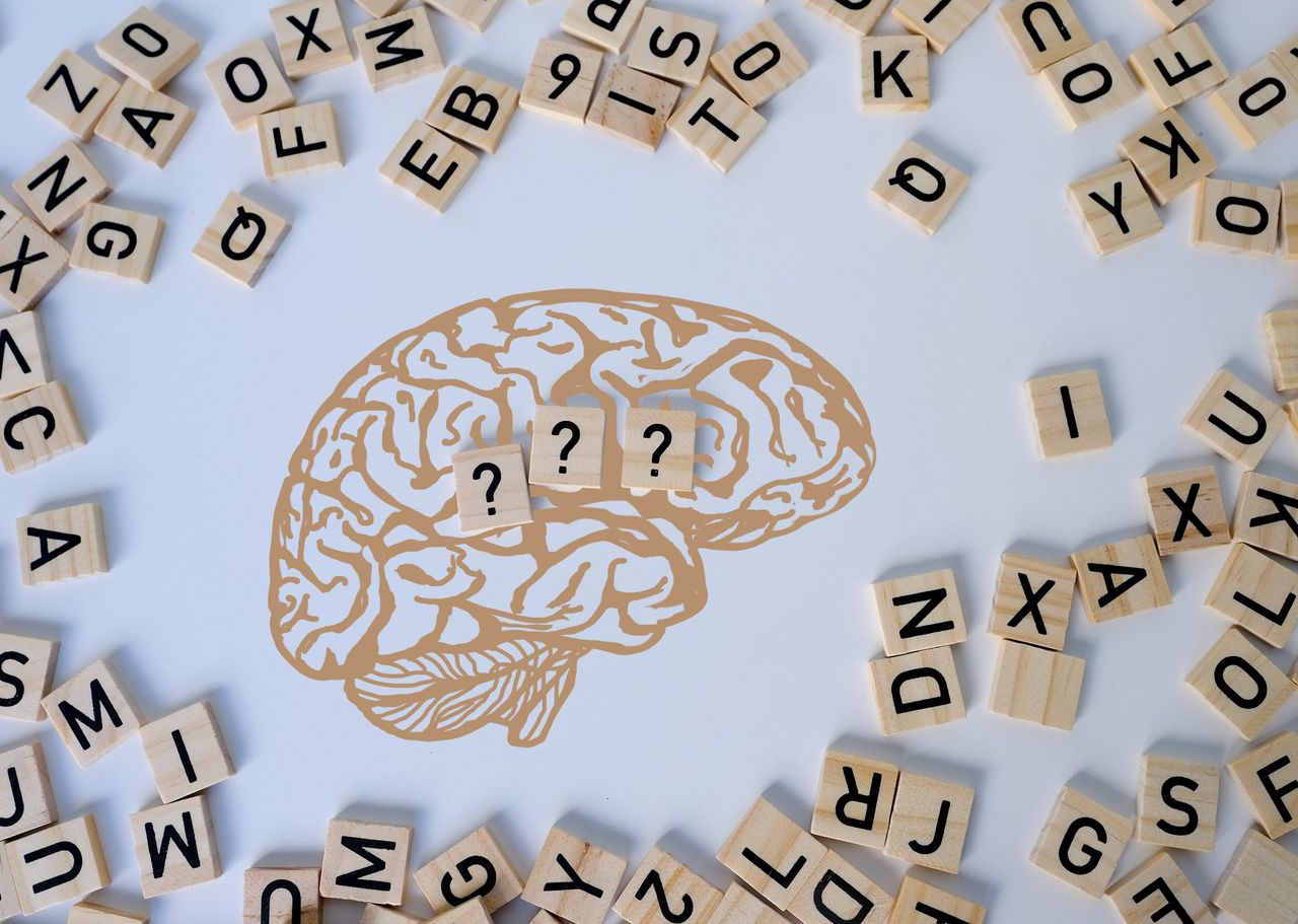 New Harvard study reveals how our brain stores words and their meanings