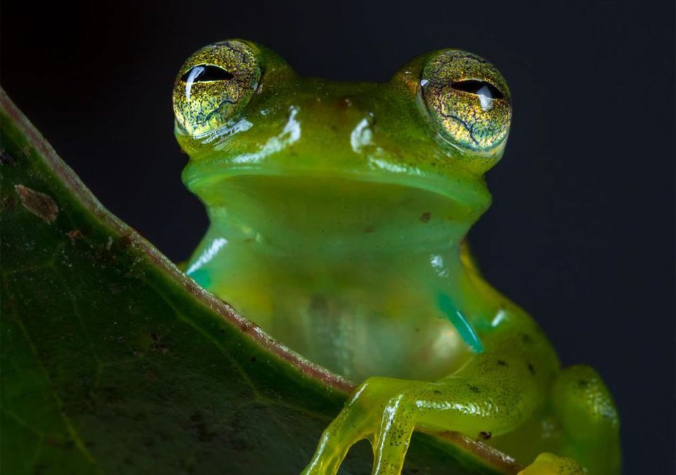 Weather news - Science - Page 57 - yourweather.co.uk | Meteored