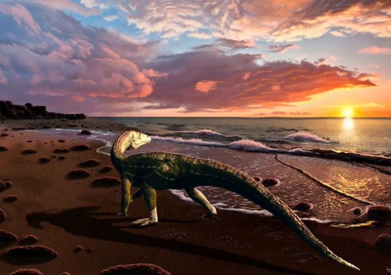 New archosaur species changes understanding of life on the Triassic ...
