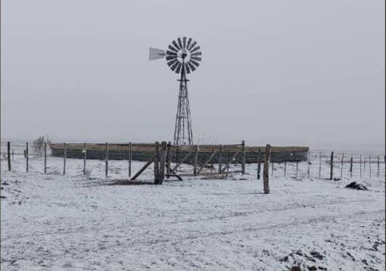 Nieva en media Argentina: estas son las ciudades donde ya cayó nieve o ...