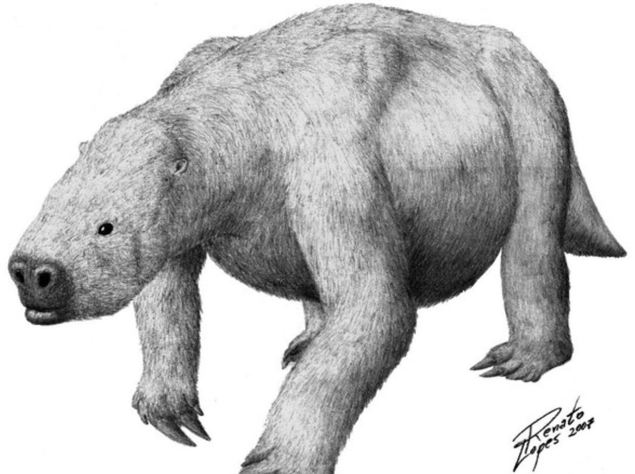Discovery of prehistoric tunnel in Rio Grande do Sul draws attention of ...