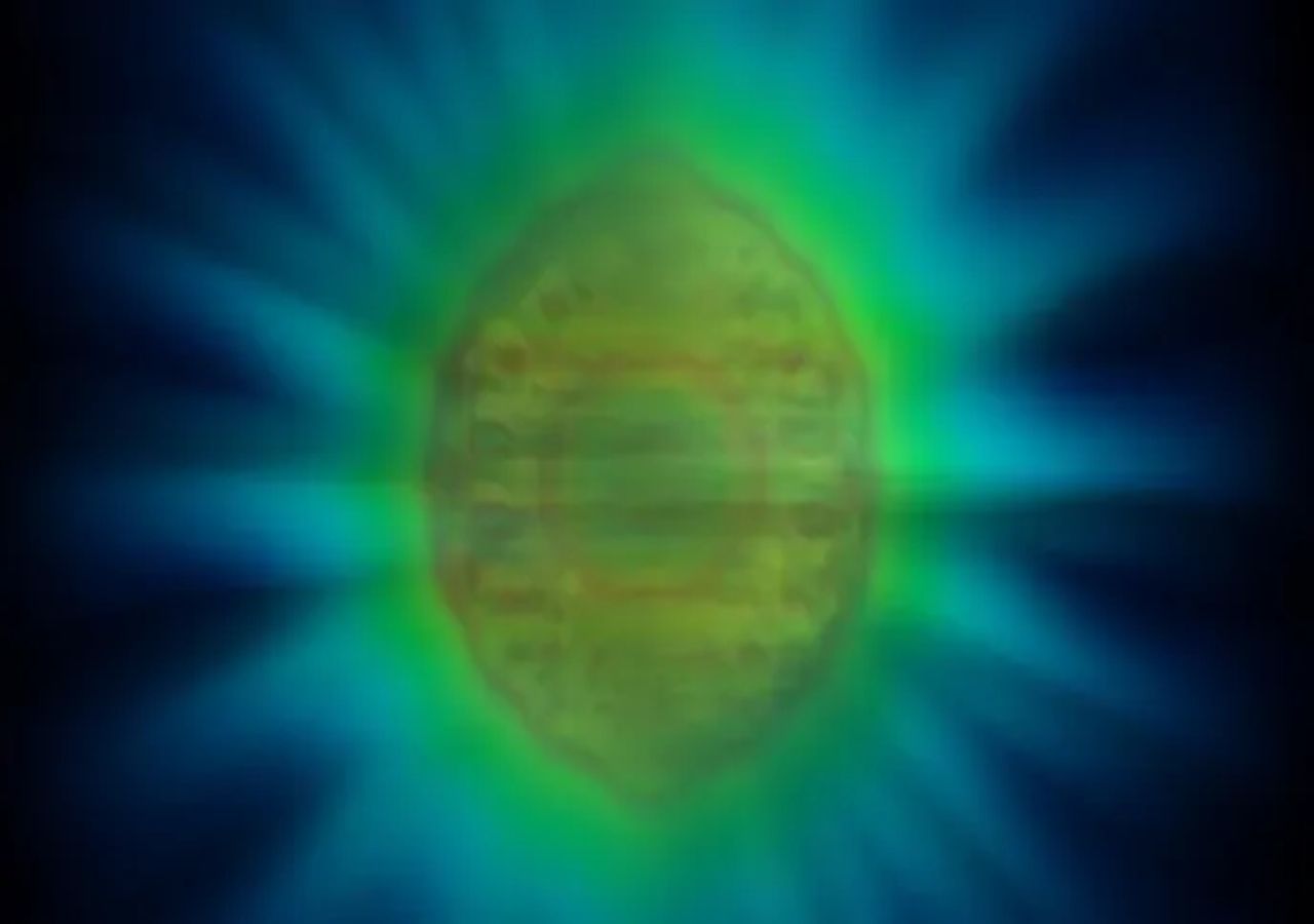 Novedad: por primera vez científicos logran revelar la forma de un ...