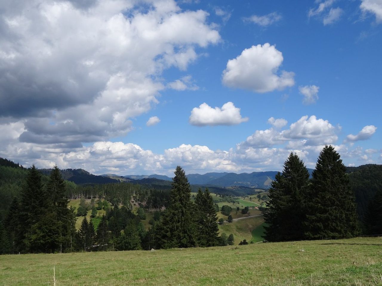 Nubes de evolución diurna