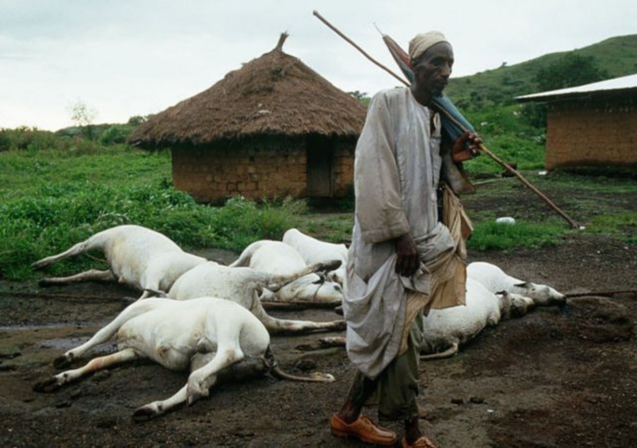 35 years ago a mysterious toxic cloud killed thousands in Cameroon