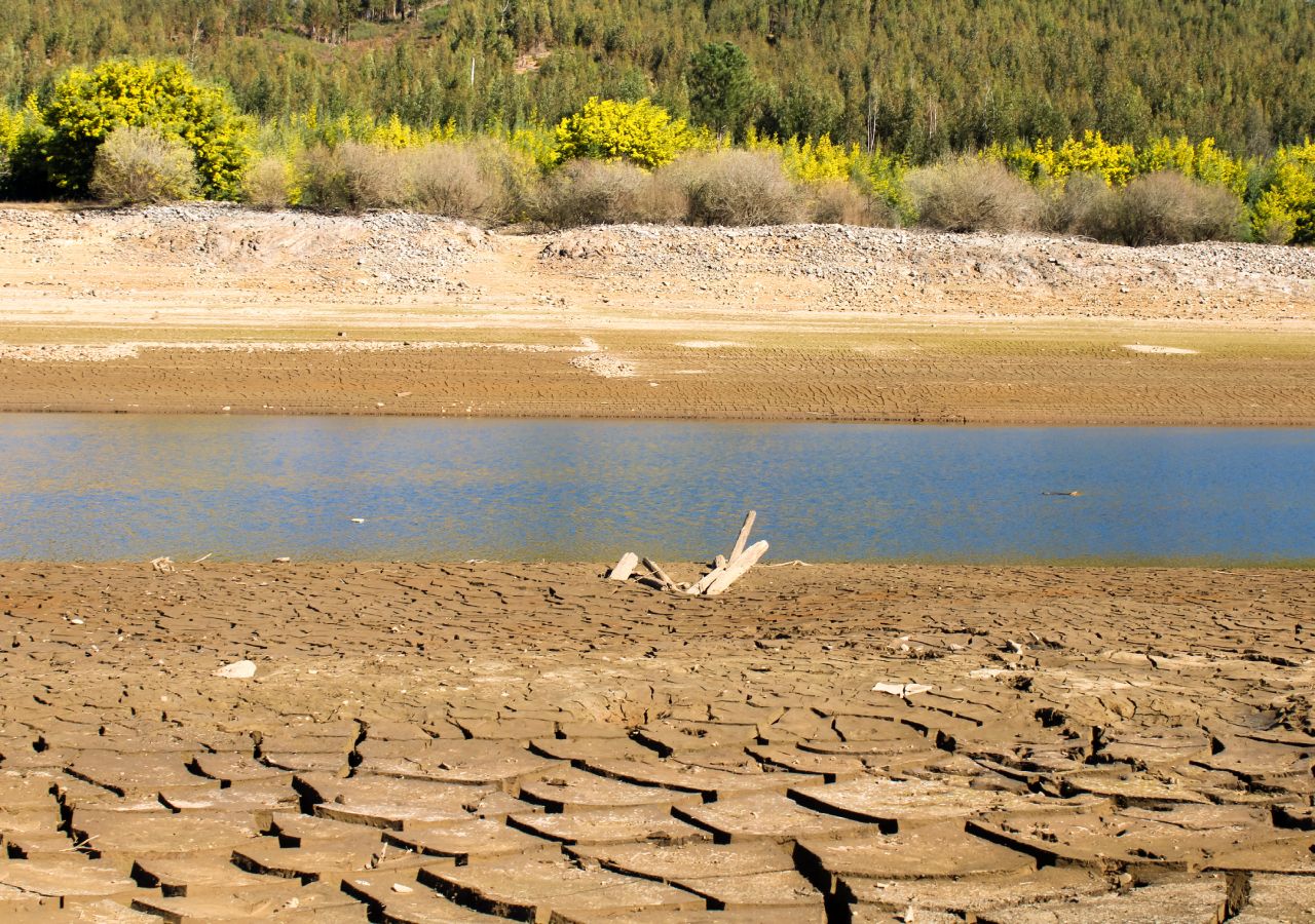 O drama da seca em Portugal: poderá a chuva artificial ser uma solução?