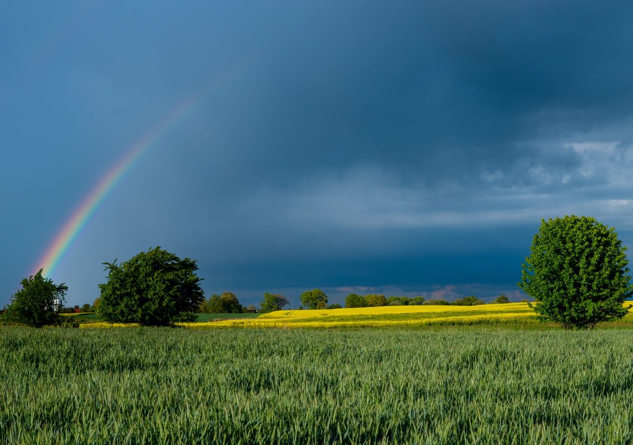 O que esperar da distribuição da precipitação em Dezembro de 2020?