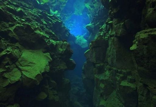 What is the lunistice? A phenomenon that last night showed the full ...