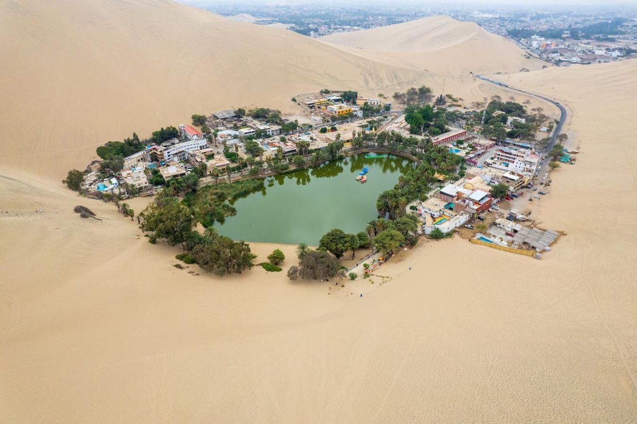 Modelo De Oasis No Deserto