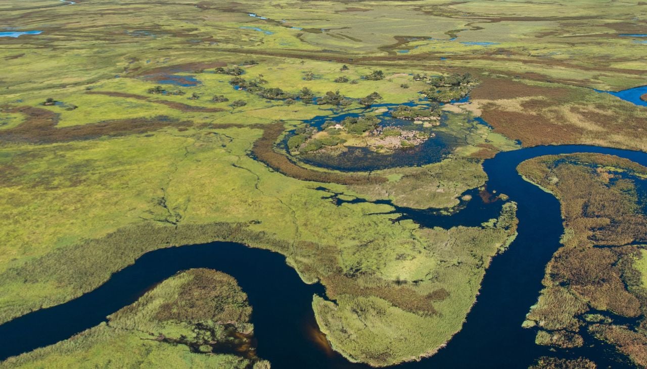 Okavango, o rio que morre no deserto para dar vida a África