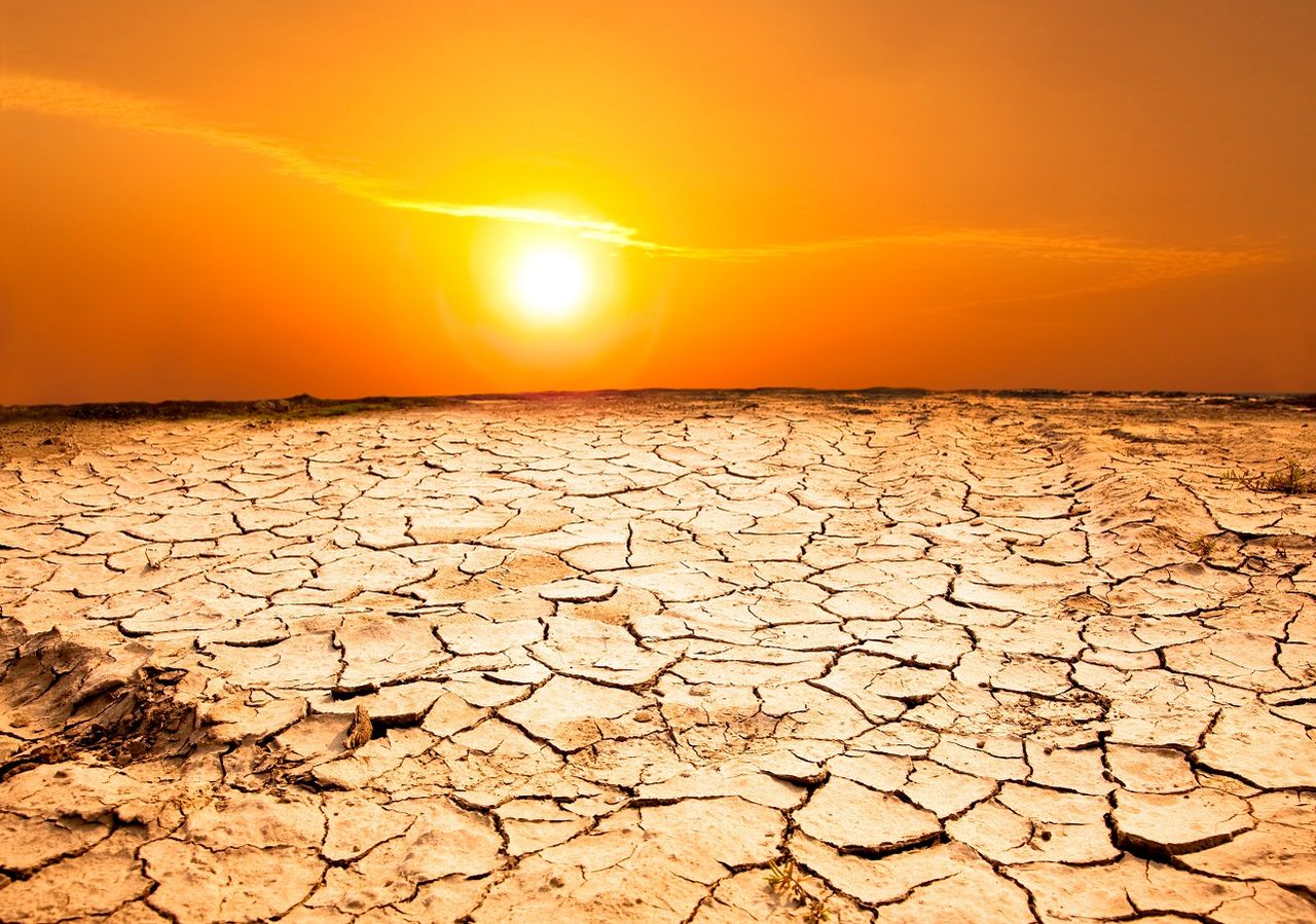 Ondate di calore più estreme in Europa, tutta colpa dei regimi di "blocco"