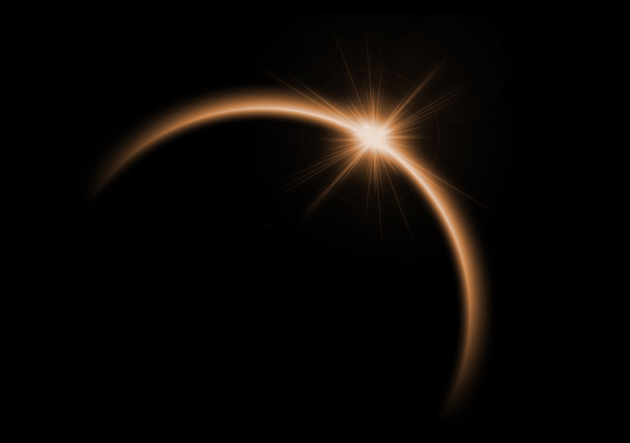 Solar Eclipses Alter Bird Behavior: Study Shows They Become Silent in ...