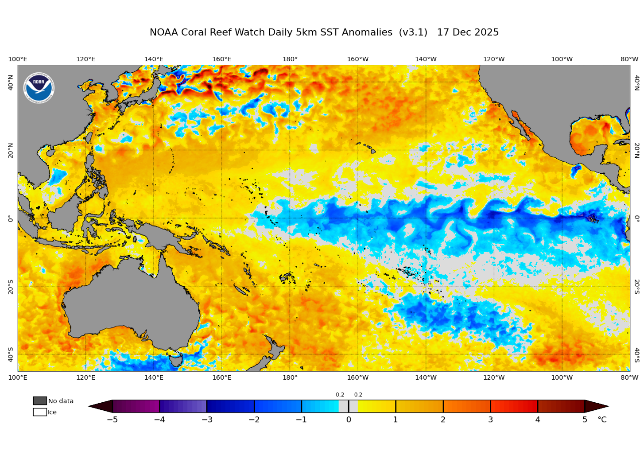 The Pacific Ocean is set to warm up in the coming weeks, paving the way ...