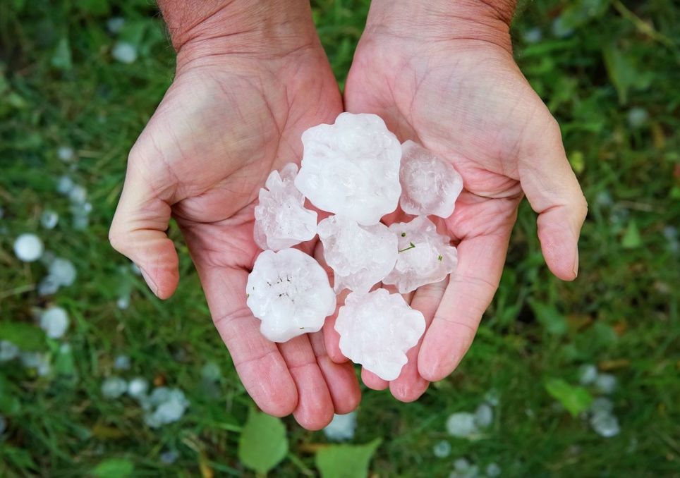 Noticias del tiempo - Ciencia - Página 66 - Meteored