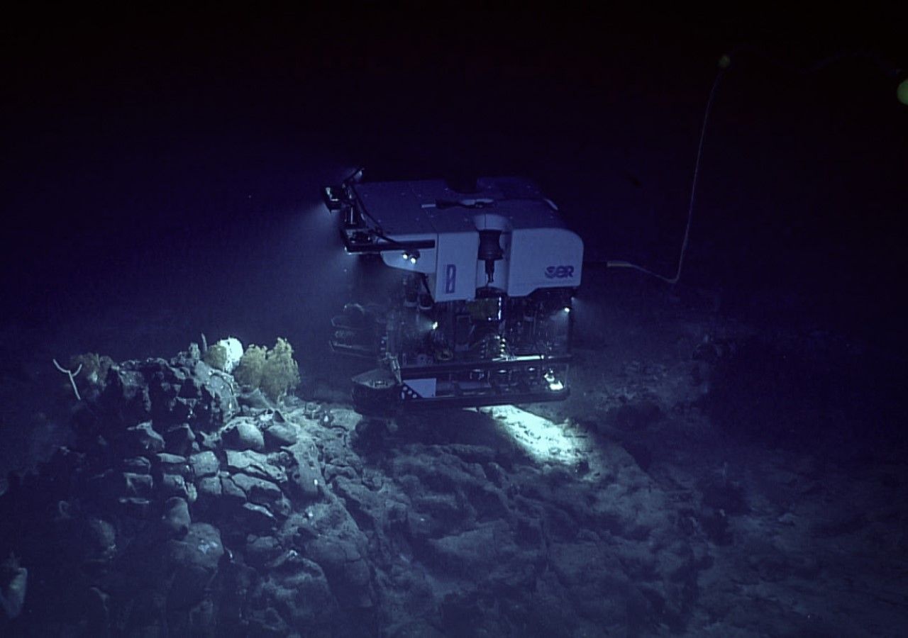 Strange 'perfectly aligned' holes on Atlantic seafloor spark mystery