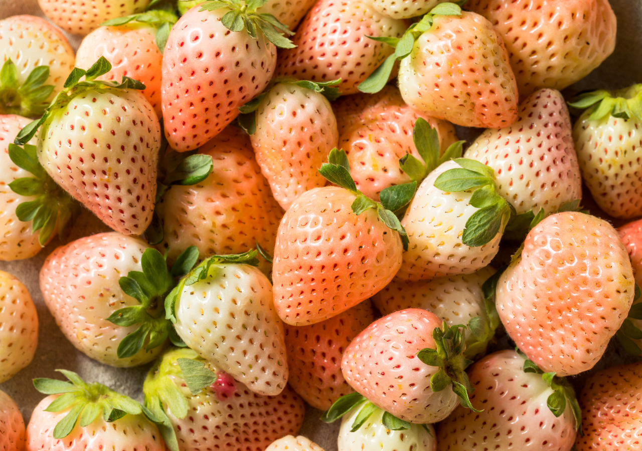 Pineberry: una extraordinaria fruta blanca que revoluciona el mercado ...