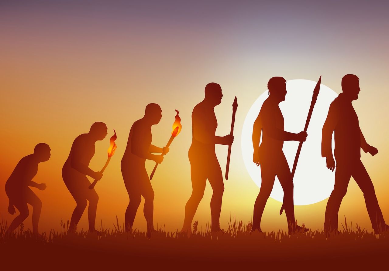 Pisadas fossilizadas no Quênia revelam a convivência de espécies ...