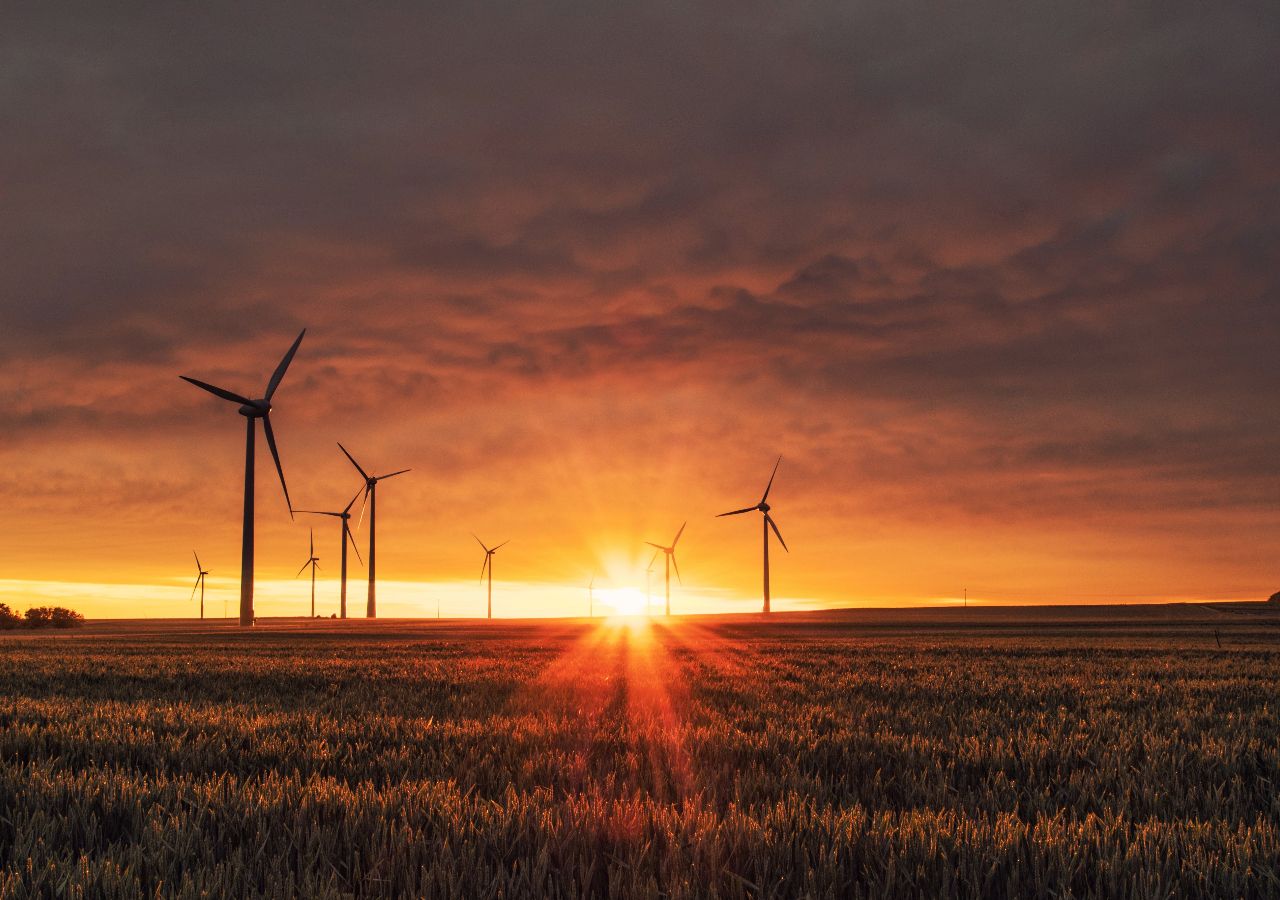 Planet Earth is at a pivotal tipping point: things cannot continue as ...