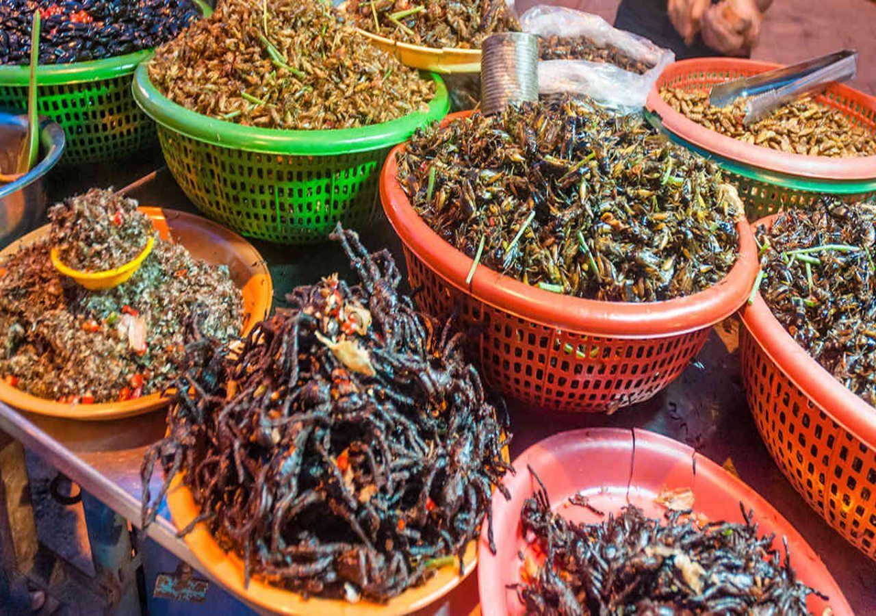 Plantean a los insectos como alimentos en un mundo más sostenible