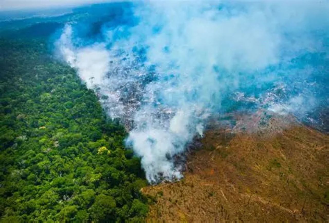 PrevisIA: Inteligência artificial prevê 5,5 mil km² sob risco de ...