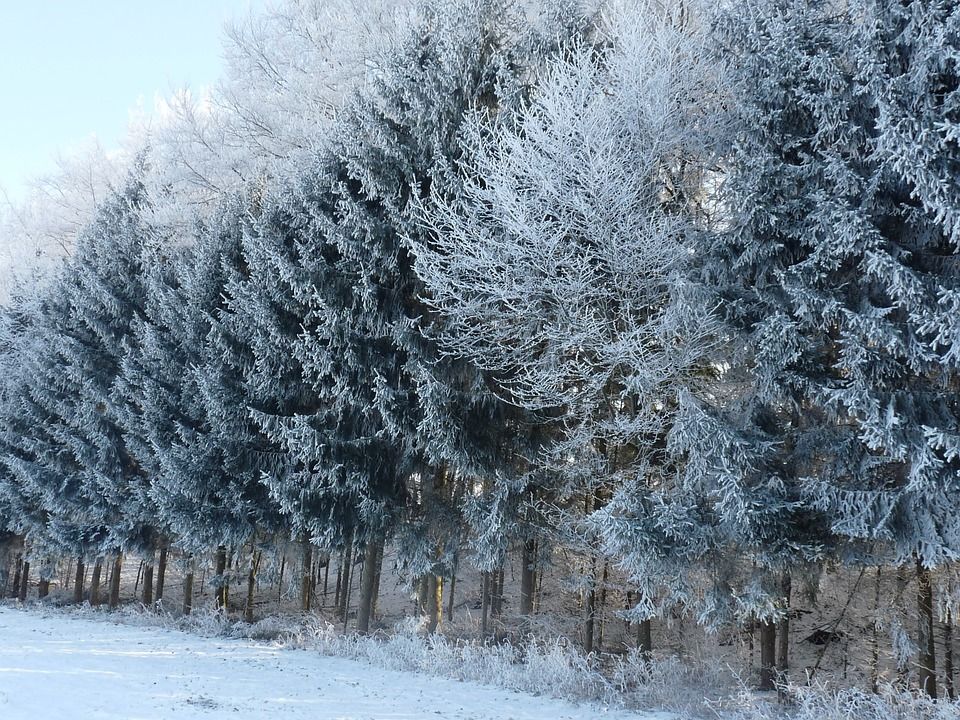 Pronóstico de la actual temporada invernal en México