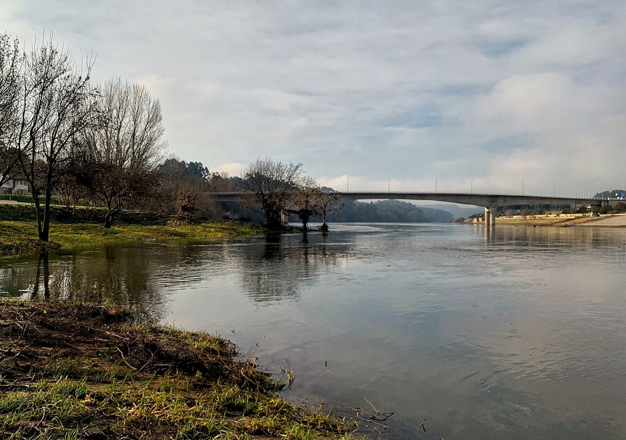 Programa Pro-Rios conta com 187 milhões de euros para renaturalizar os ...