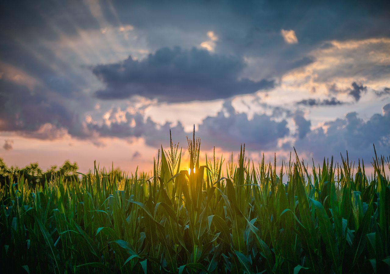 Proyección climática para diciembre en Argentina: ¿se dará el impacto ...
